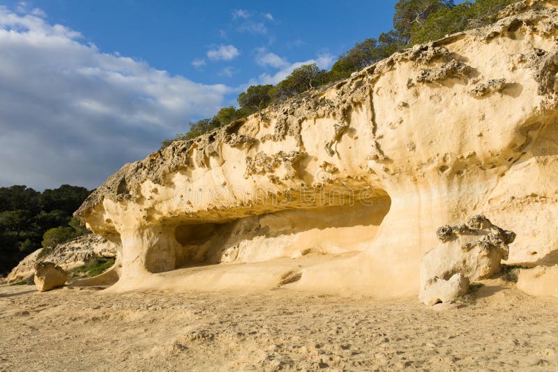 Beach clay rock stock photo. Image of shell, clif, clay - 274888952