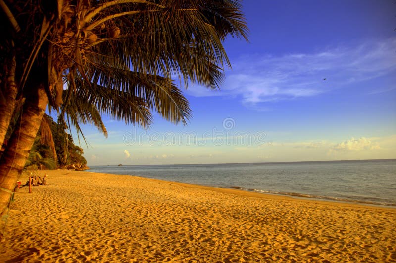 Beach stock image. Image of clean, island, nature, beach - 95738139