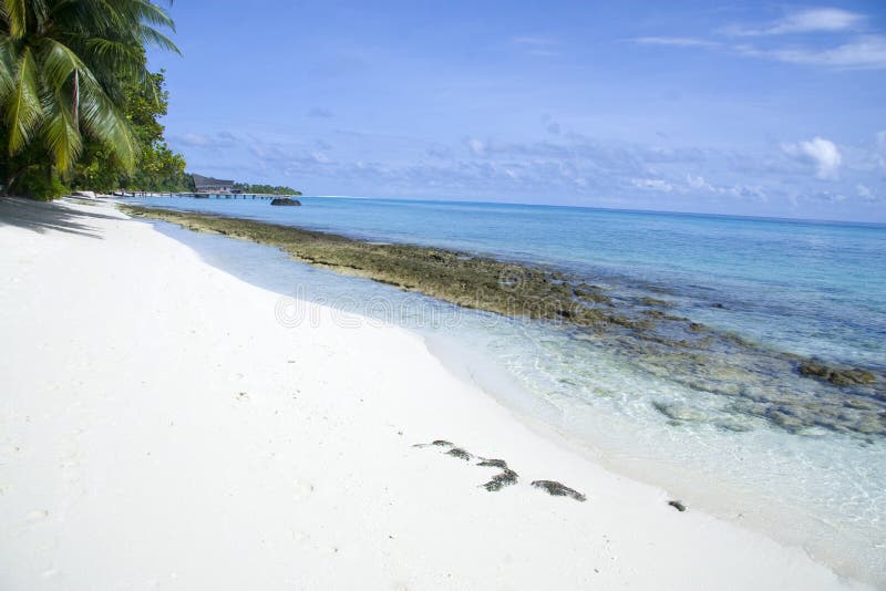 Beach with Clear Transparent Water in Maldives Stock Image - Image of ...