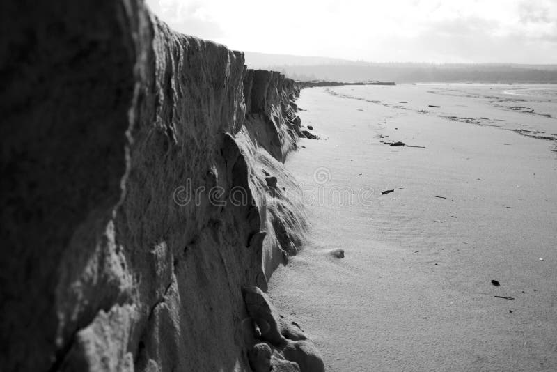 Beach cliff in B&W stock image. Image of california - 13192621