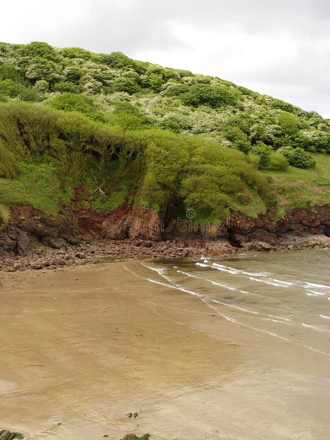 Beach With Cliff Greenery Picture. Image: 861130