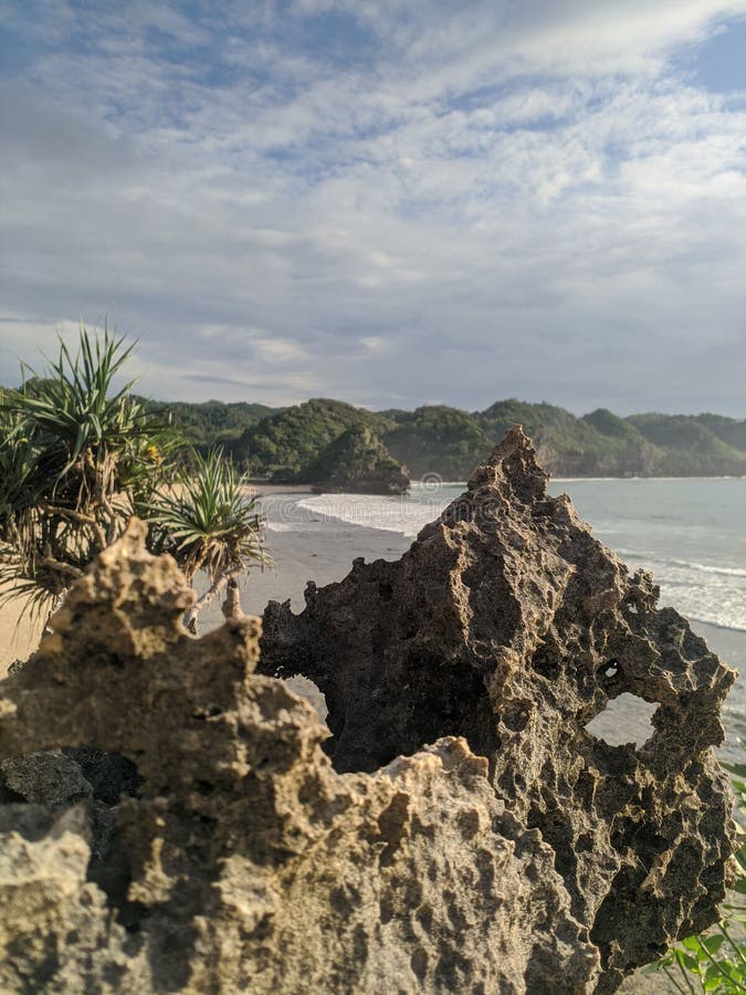 Beach Cliff s Reefs stock photo. Image of beach, vacation - 204768892