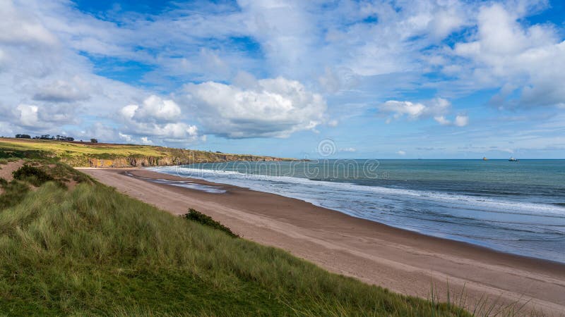 The Beach and Cliffs at Lunan Bay, Scotland, UK Stock Photo - Image of ...