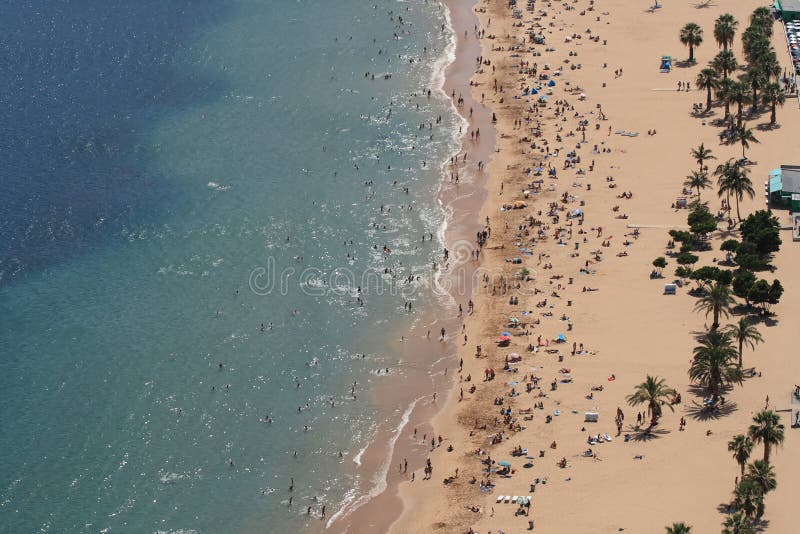 Beach close up stock photo. Image of palm, recreation - 11283734