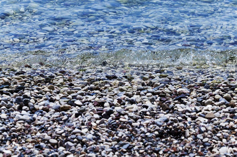 Beach. close-up stock image. Image of simplicity, group - 61329815
