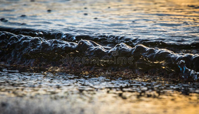 Beach, Close-up, Cold stock photo. Image of sunlight - 109915818