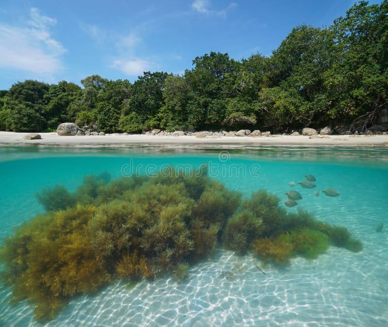 Beach Coastline Atlantic Coast of Spain Natural Scene Stock Photo ...