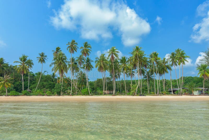Beach and coconut tree stock photo. Image of tourism - 86170090