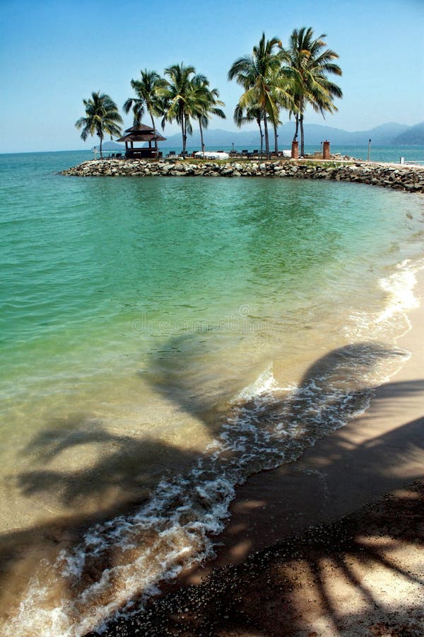 Coconut trees by the beach stock photo. Image of strip - 24699040
