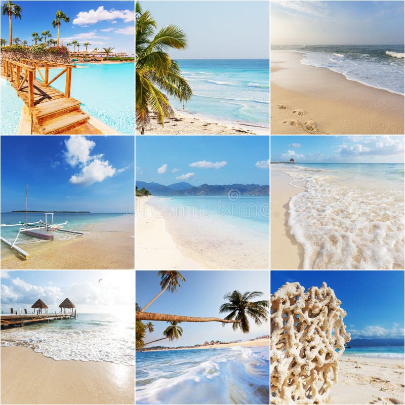 Beach collage stock image. Image of concept, shore, nature - 54158935