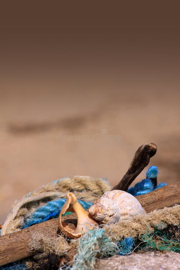 Beach Combing stock image. Image of holiday, jetsom, debris - 13430731