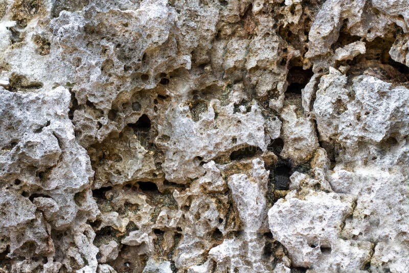 Coral Rock Texture Background, Stone Texture Stock Photo - Image of ...