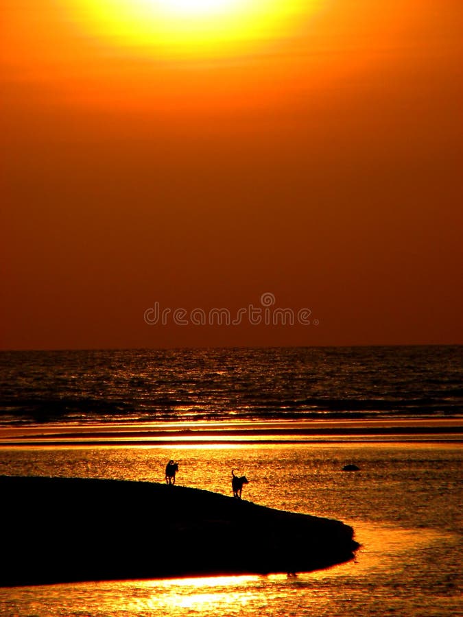 Beach Corner stock photo. Image of exploration, color - 2006470