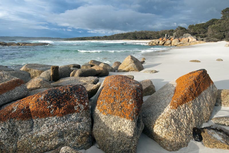 Beach at Cosy Corner stock photo. Image of nature, abstract - 19505008