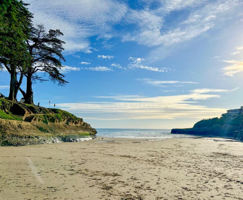 Beach Cove Looking Out To the Ocean with Trees Stock Image - Image of ...