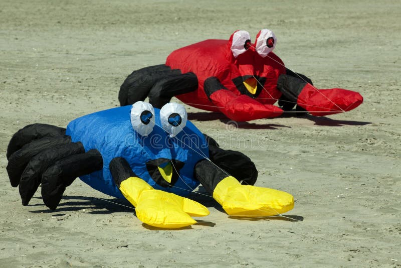 Beach Crabs stock image. Image of multi, string, crabs - 55121457
