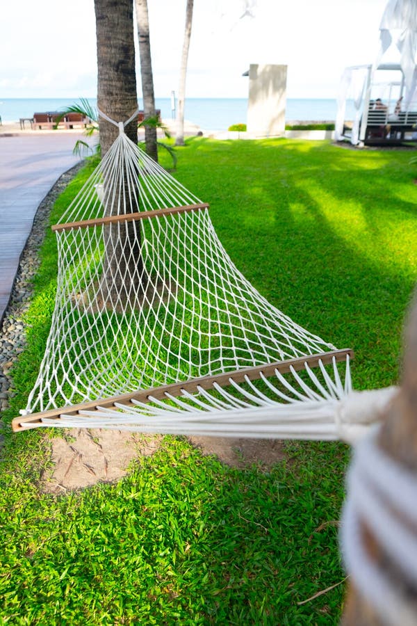 123 Cradle Under Tree Stock Photos - Free & Royalty-Free Stock Photos ...