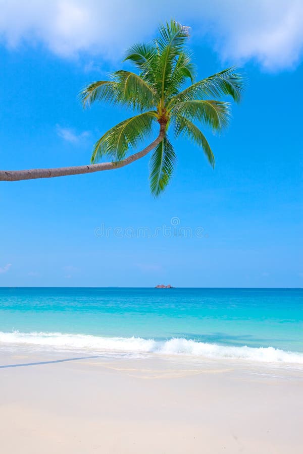 Beautiful Beach with Crystal Clear Blue Water Stock Image - Image of ...