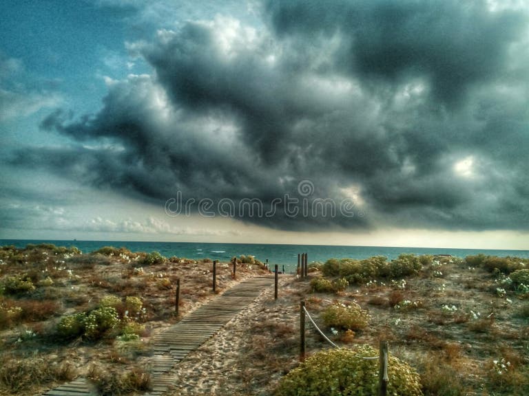 Beach stock photo. Image of daimus, playa, valencia - 100022564