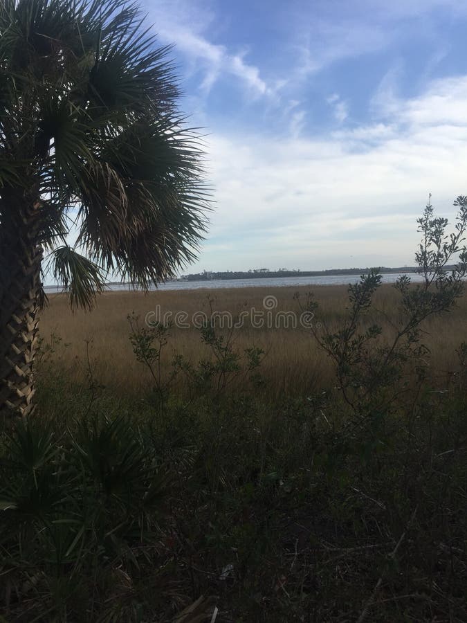 Blythe island Georgia stock photo. Image of gorgeous - 112219858