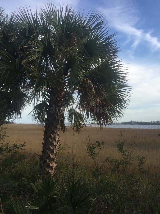 Blythe island Georgia stock photo. Image of blythe, georgia - 112219874