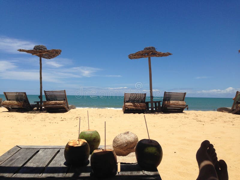 Beach day with coconuts stock image. Image of shore - 348170927