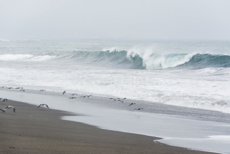Beach Day with mist stock photo. Image of nature, tide - 91193126