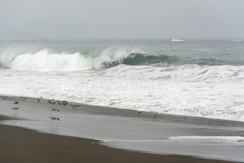 Beach Day with mist stock image. Image of water, waves - 91193399