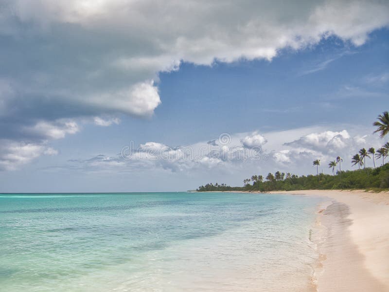 Beach Day on Vacation Saona Island Stock Photo - Image of tourism ...