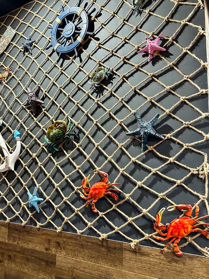 Beach Decor on Wall Displaying Sea Objects Stock Photo - Image of crabs ...