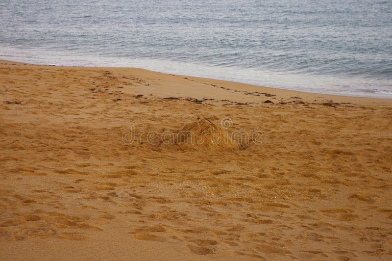 Beach stock photo. Image of doorstep, attributory, collection - 70385840
