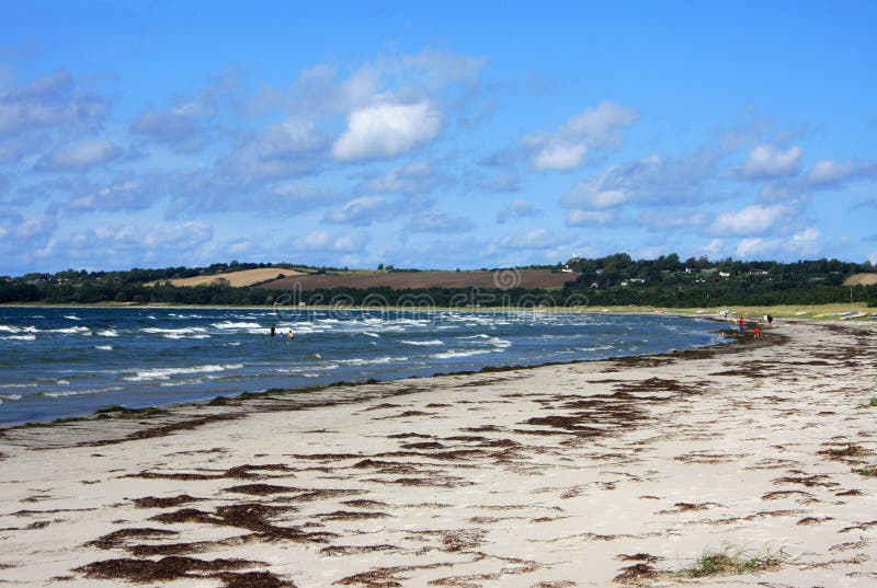 Beach in Denmark stock photo. Image of denmark, seaweed - 25535170