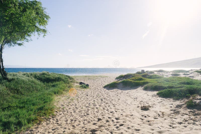 Beach Dividing Ocean and Pond Stock Photo - Image of road, dividing ...