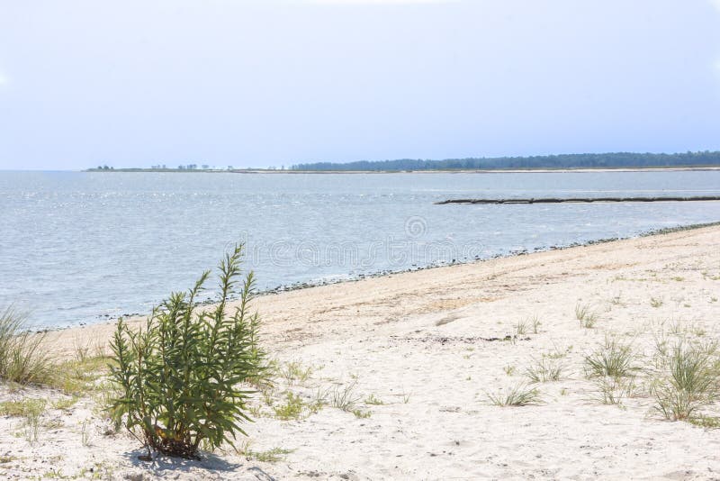 Beach on Dover, Delaware, USA Stock Photo - Image of shoreline, shore ...