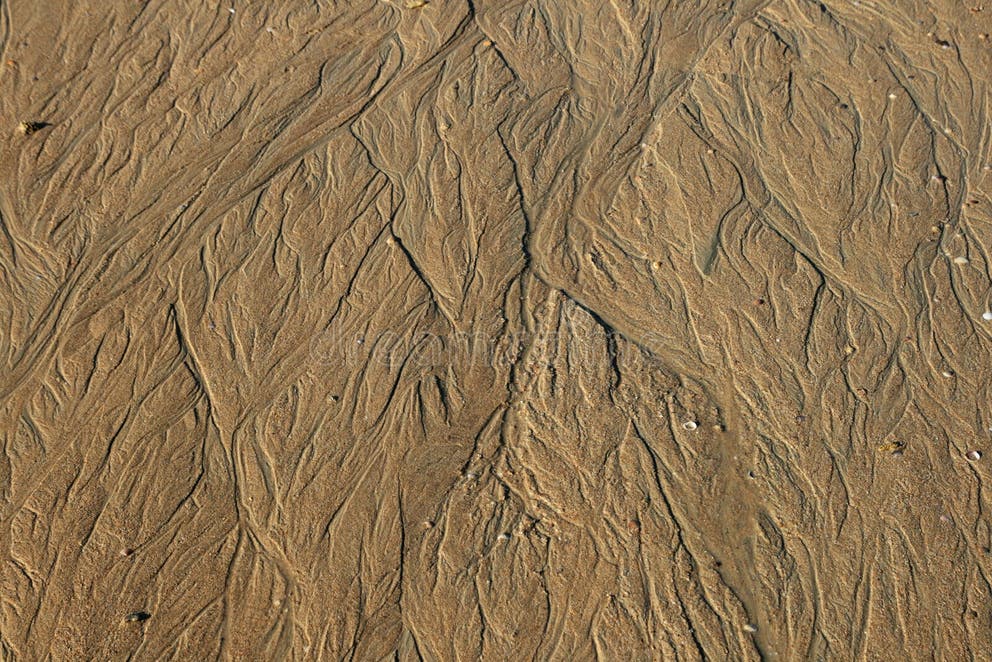 Beach drainage pattern stock photo. Image of braided - 13632910