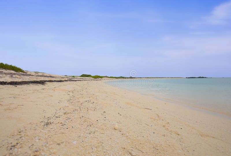 Dry Tortugas East Side Beach Stock Photo - Image of horizon, shoreline ...