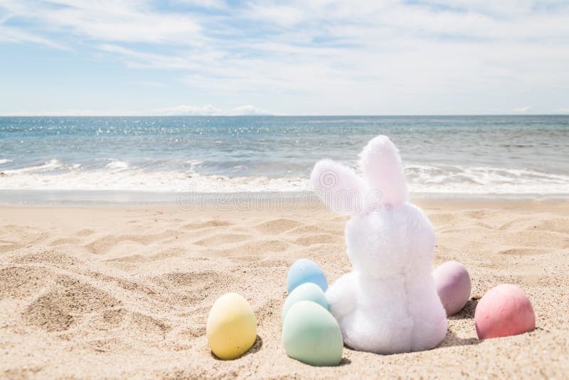 447 Beach Bunny Easter Stock Photos - Free & Royalty-Free Stock Photos ...