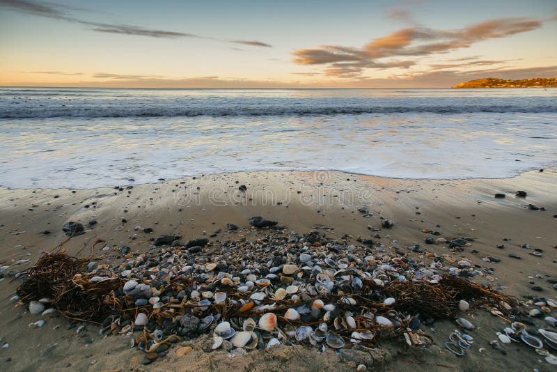 The beach after the ebb stock photo. Image of sunset - 38740850