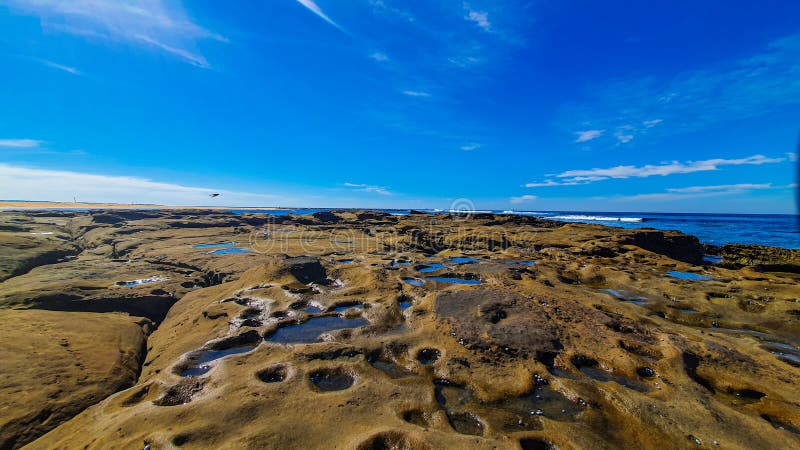 Beach at ebb tide stock image. Image of holes, seaside - 217570925
