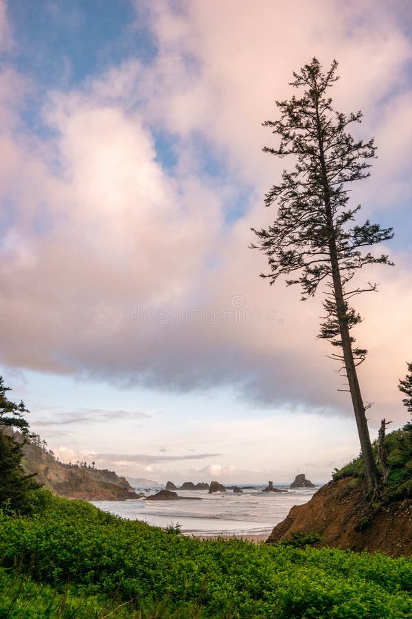 Ecola Beach State Park on the Oregon Coast Stock Image - Image of ...