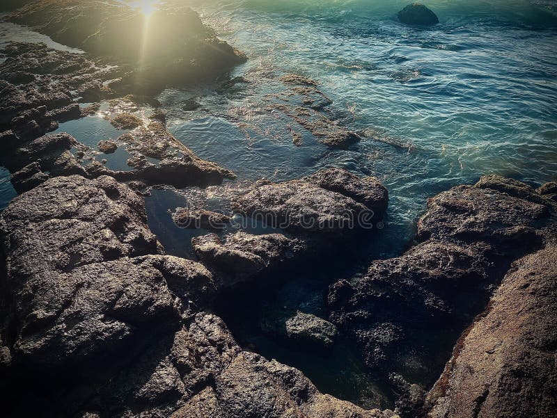 Beach Edge with Ocean Near Coral Rock Bed Stock Image - Image of early ...