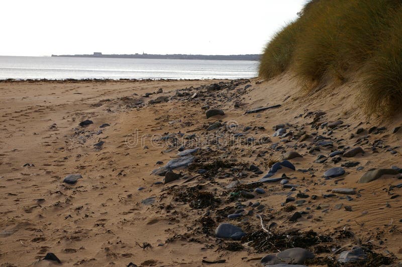 Beach stock photo. Image of feather, collection, beach - 70385936