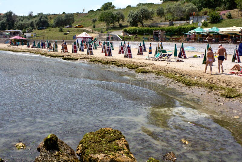 Beach of Eforie South editorial photo. Image of algae - 23264531
