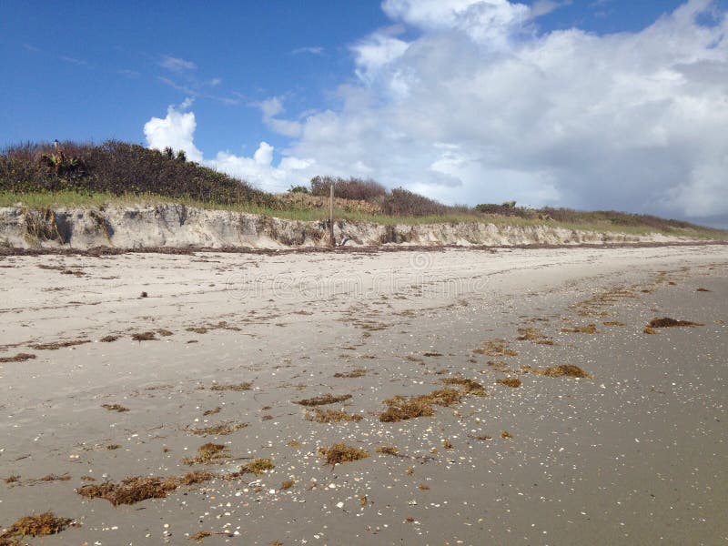 Beach Erosion Control stock image. Image of environmental - 12527537