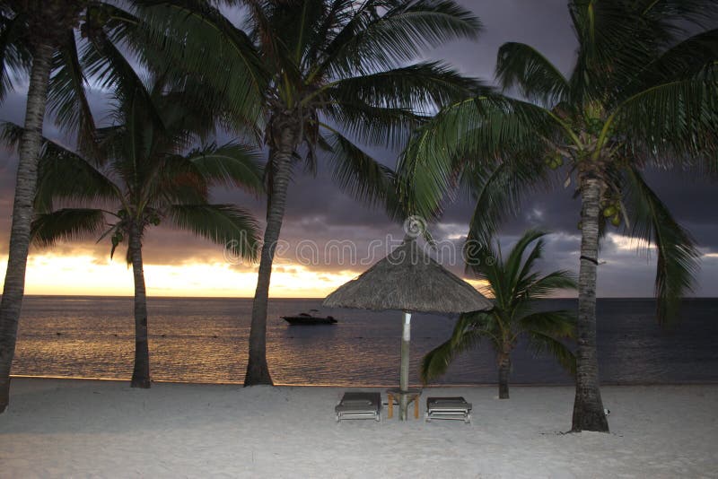 Beach in the Evening, Mauritius Stock Photo - Image of dinner ...