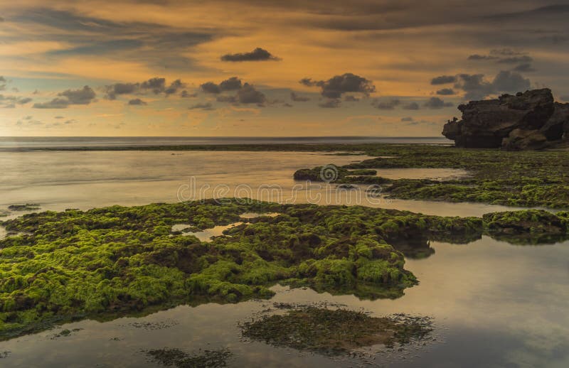 Beach in the evening stock photo. Image of java, golden - 92738810