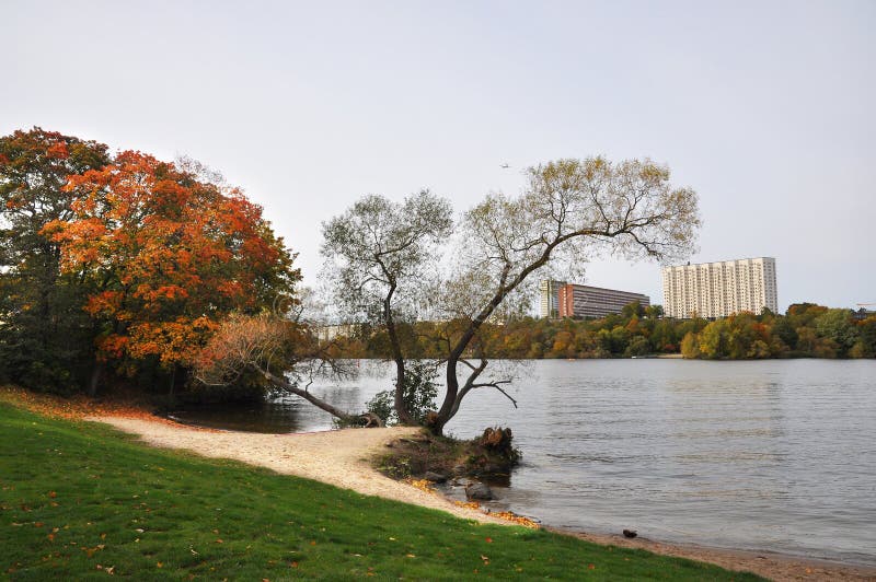 Beach in the fall stock image. Image of forest, emty - 21529351