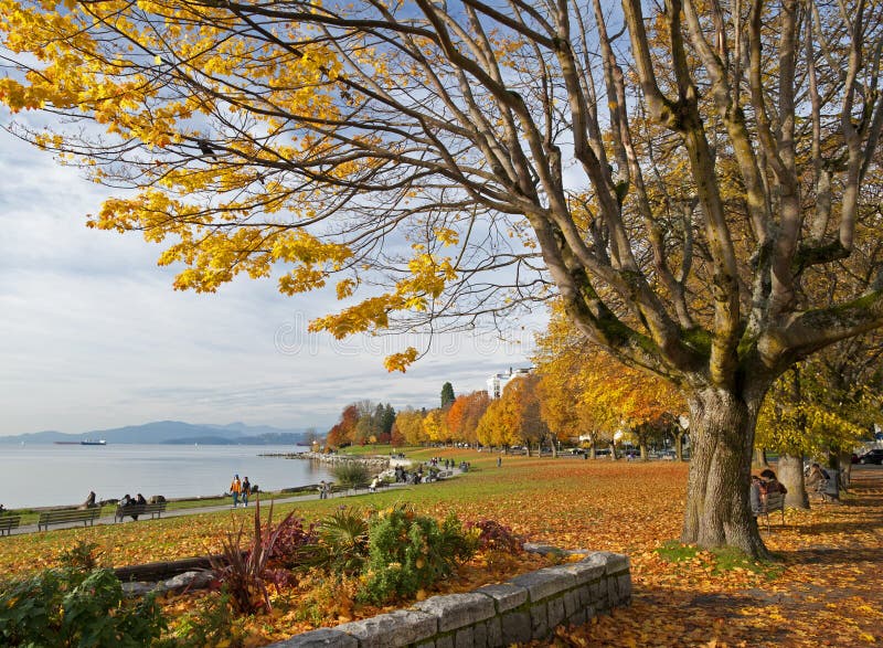 Beach in the fall colours stock image. Image of colour - 22404609