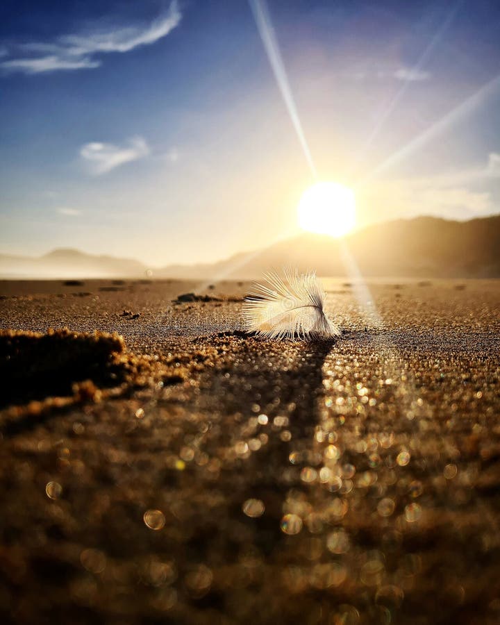 Beach feather at sunset stock photo. Image of mountains - 275731930