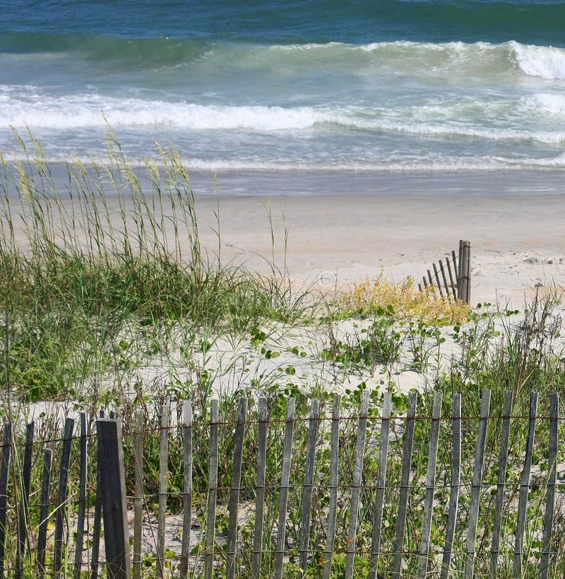 Beach fence stock image. Image of beach, vegetation, coast - 10073573